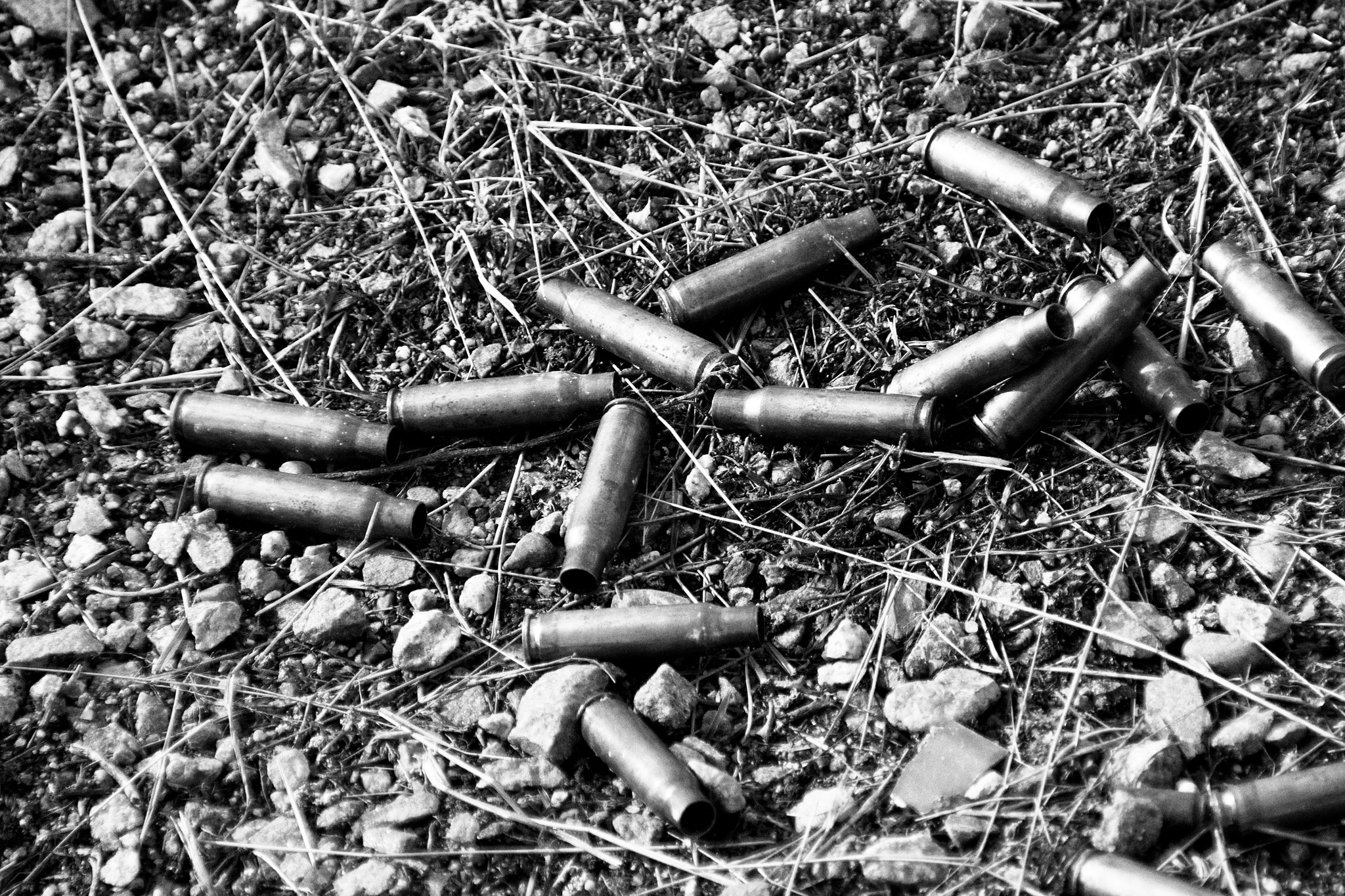 Leftist vs Religiously Motivated Terrorism: A Side-by-Side Comparison ...